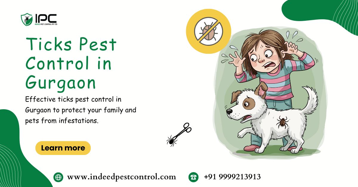 Ticks Pest Control In Gurgaon | Ticks Pest Control Gurgaon